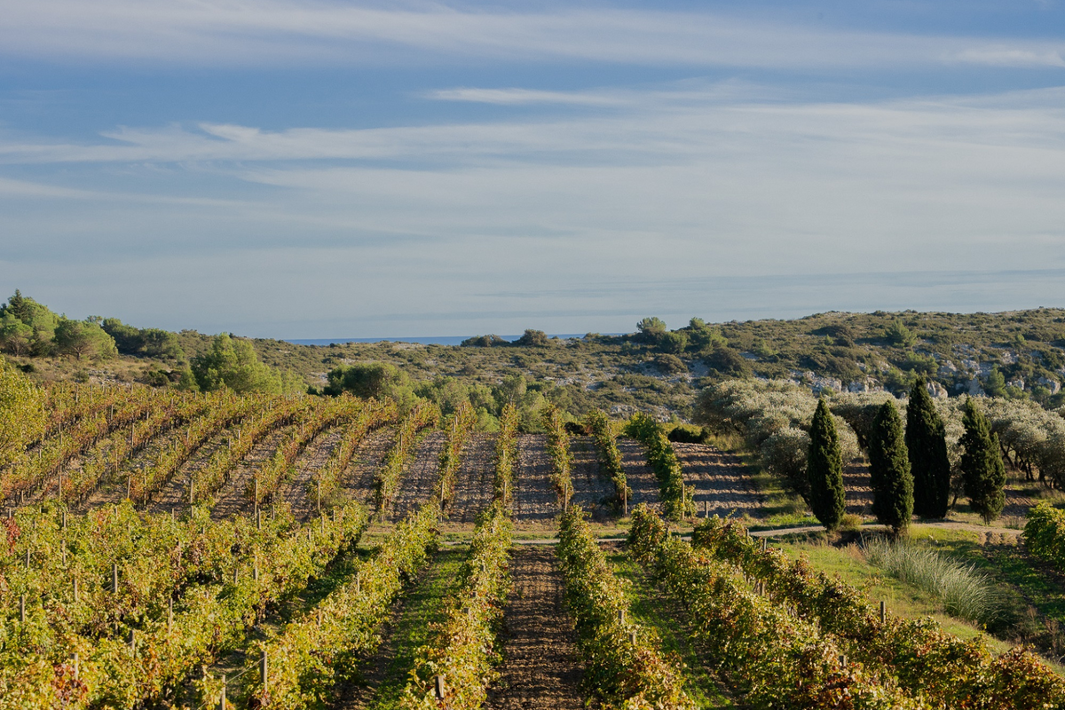 Château L'Hospitalet Wine Resort Beach & Spa